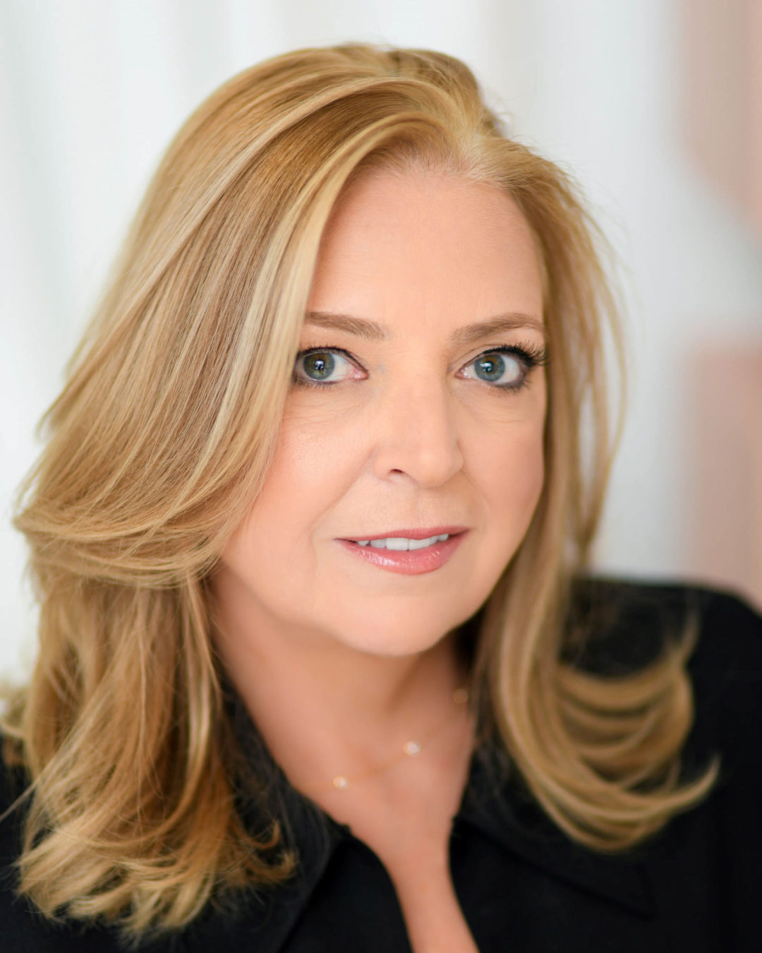 Meridian names Patti Ann Sullivan, Vice President of aircraft ...